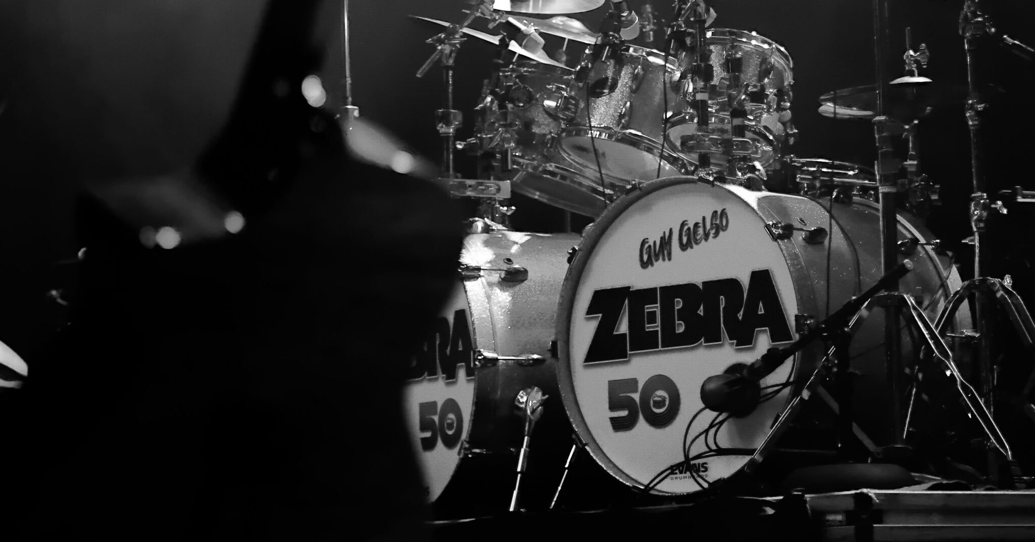 Zebra : April 27, 2025 @ the House of Blues in Dallas, TX - BPM